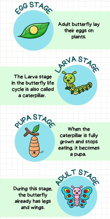Reproduction in Animals Class 4 Notes Science Free PDF