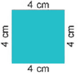 Perimeter and Area Class 4 Worksheet Maths Chapter 9