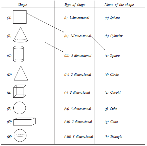 NCERT Solutions for Class 8 Maths - Visualising Solid Shapes - 1