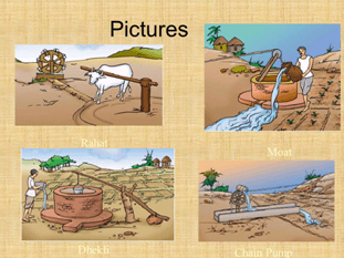 Crop Production and Management Class 8 Notes Science Chapter 1 Free PDF