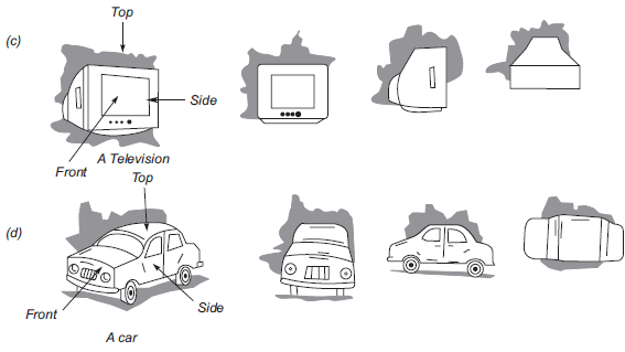 NCERT Solutions for Class 8 Maths - Visualising Solid Shapes - 1