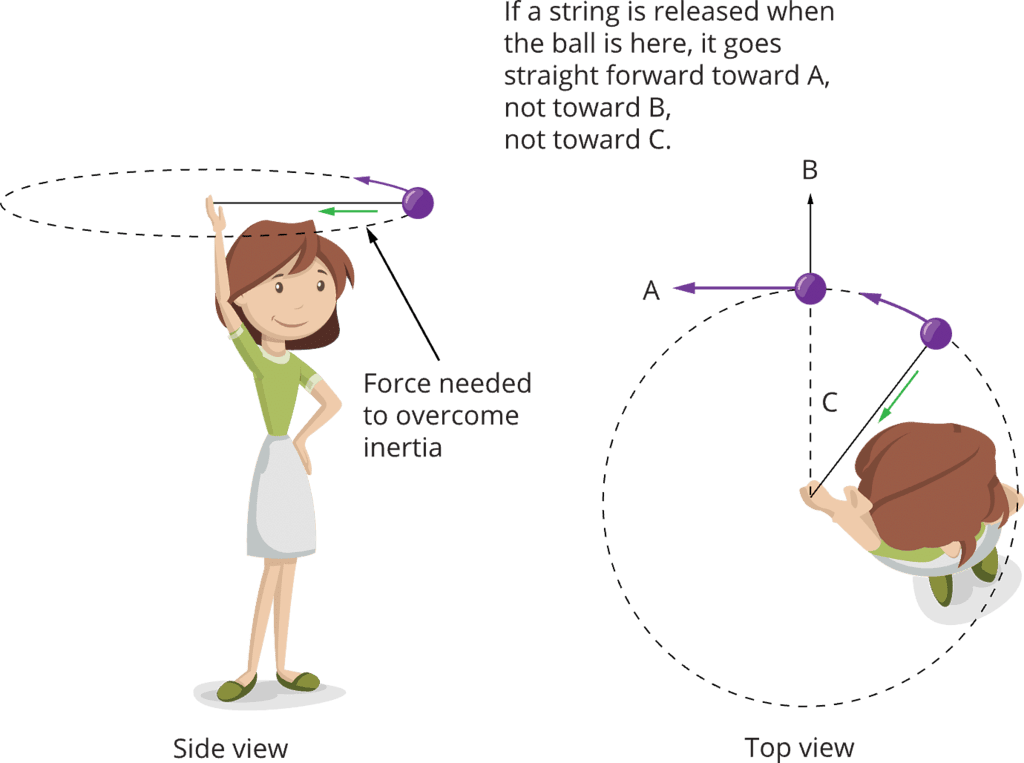 Newton's Laws of Motion - Physics Class 11 - NEET PDF Download
