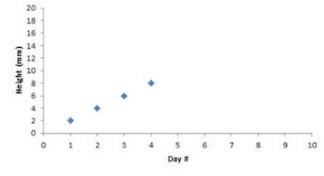 Extrapolation - Interpolation and Extrapolation, Business Mathematics ...