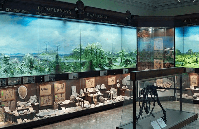 Taxonomical Categories and Taxonomical Aids - Class 11 PDF Download