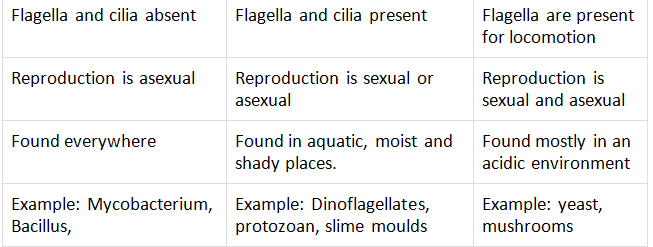 Kingdom Monera, Protista And Fungi - Class 11 PDF Download