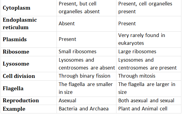 Difference between Prokaryotic and Eukaryotic Cells - Class 11 PDF Download Difference between Prokaryotic and Eukaryotic Cells - Class 11 PDF Download