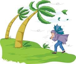 Seasons and Weather Chapter Notes - EVS for Class 2 PDF Download