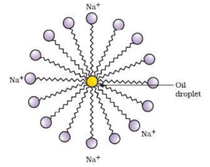 Colloids and Its Classification - Chemistry Class 12 - NEET PDF Download