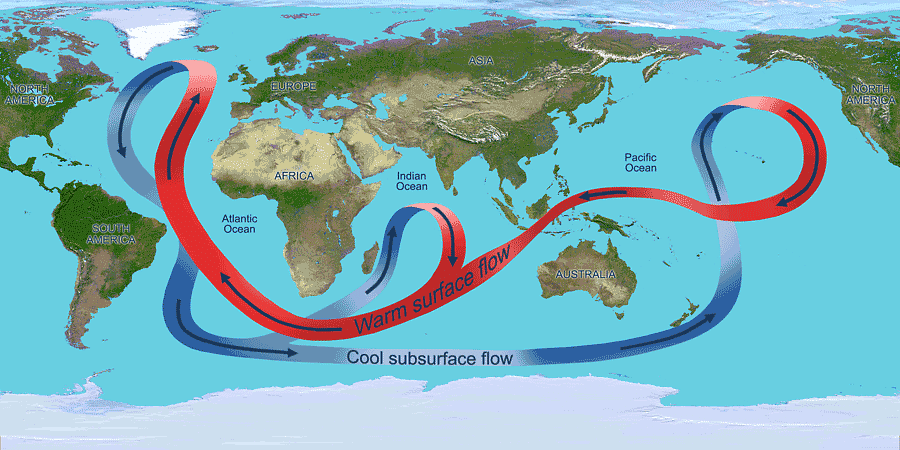 Class 7 Geography Chapter 5 Notes - Water Free PDF