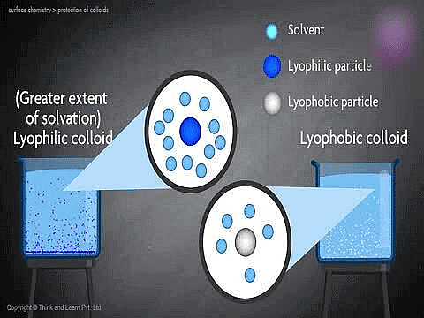 Colloids and Its Classification - Chemistry Class 12 - NEET PDF Download