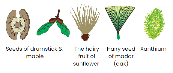 Reproduction in Plants Chapter Notes - Class 7 PDF Download