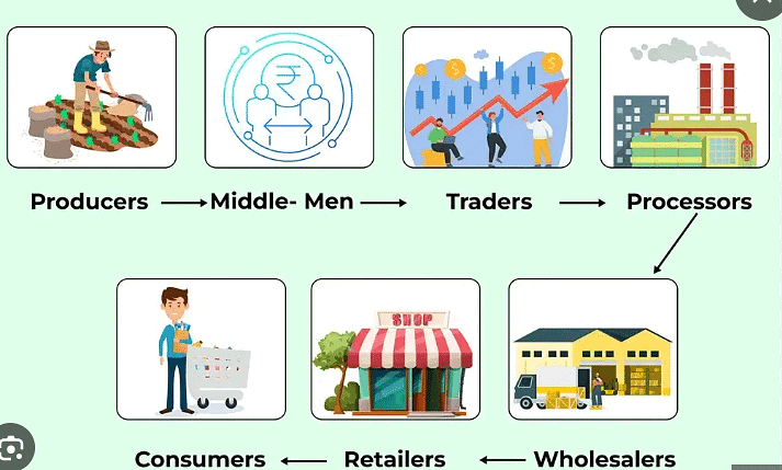 NCERT Solutions for Class 7 Social Science - Market Around Us