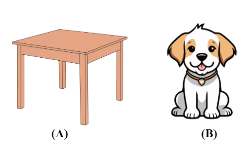 Class 5 Maths - How Big How Heavy - CBSE Worksheets - 1