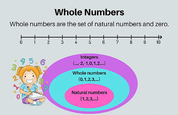 Whole Numbers Class 6 Notes Maths Chapter 2 Free PDF