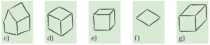Class 5 Maths - Boxes And Sketches - CBSE Worksheets