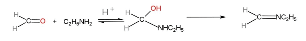 Physical and Chemical Properties of Amines - Chemistry Class 12 - NEET ...
