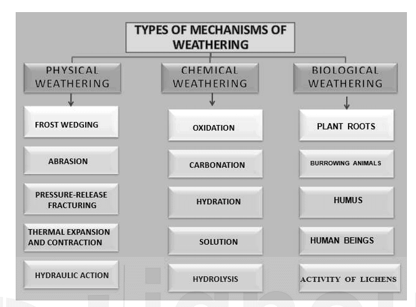 EXOGENIC PROCESSES - Class 8 PDF Download