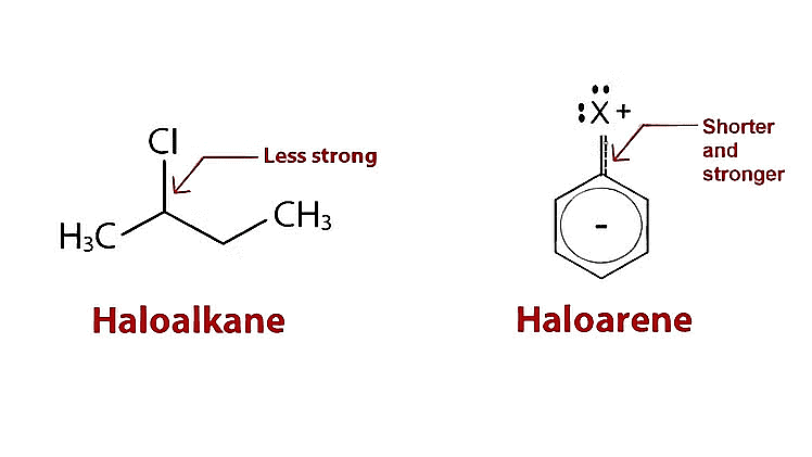 Classification and Nomenclature of Haloalkanes and Haloarenes - Chemistry Class 12 - NEET PDF ...