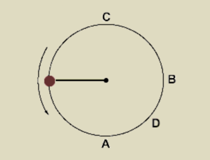 Vertical Circular Motion - JEE PDF Download