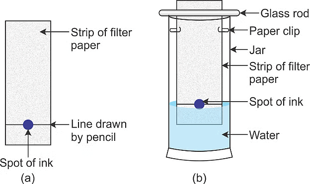 Is Matter Around Us Pure? Class 9 Notes Science Chapter 2 Free PDF