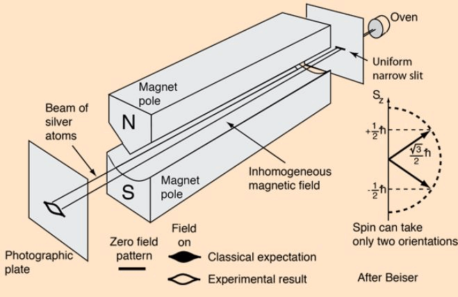 Electron Spin and Stern-Gerlach Experiment - Angular Momentum, Quantum Mechanics, CSIR-NET ...