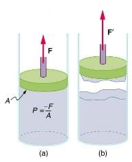 Cohesion and Adhesion in Liquids: Surface Tension and Capillary Action ...