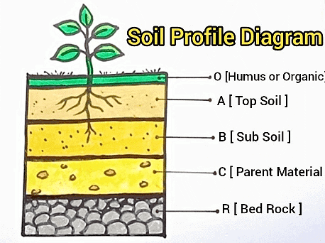 Class 10 Geography Chapter 1 Notes - Resources and Development Free PDF