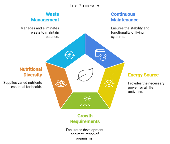 Life Processes Class 10 Notes Science Chapter 5 Free PDF