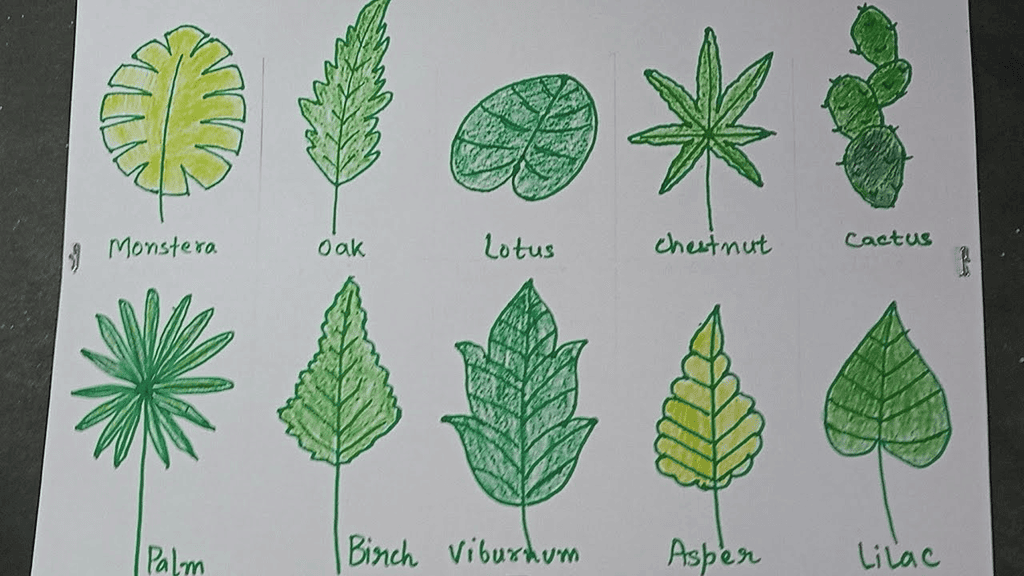 Getting to Know Plants NCERT Solutions - EVS Class 3: The World around ...