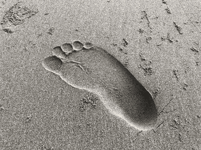 Footprints without Feet Summary Class 10 English Footprints without ...