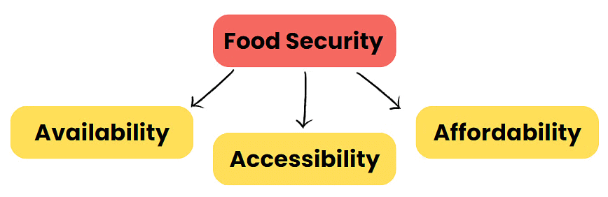Class 9 Economics Chapter 4 Notes - Food Security in India Free PDF