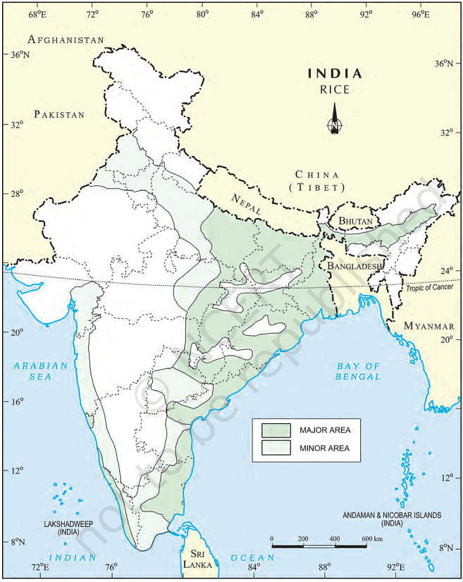 Class 10 Geography Chapter 4 Notes - Agriculture Free PDF