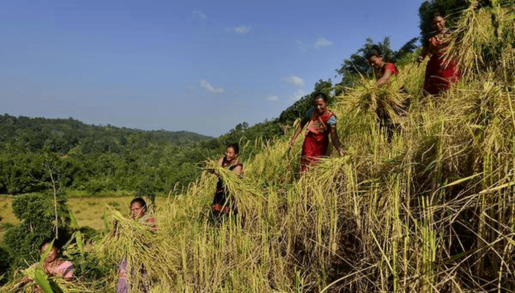 Class 8 History Chapter 4 Notes - Tribals, Dikus and The Vision of A ...