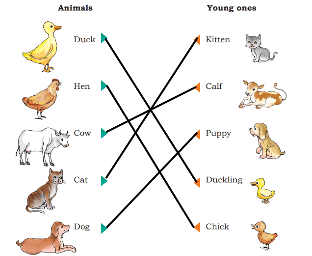 Colours NCERT Solutions - NCERT Textbooks and Solutions for Class 3 PDF ...