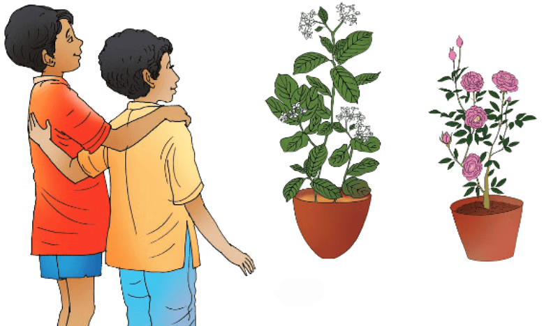 Worksheet: Living in Harmony - Worksheets with solutions for Class 3 ...