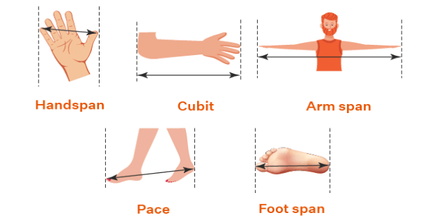 Class 6 Science Chapter 7 Question Answers - Motion and Measurement of ...