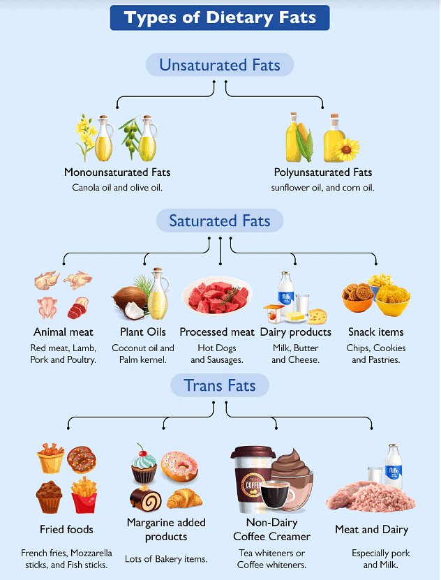 Sports and Nutrition - Physical Education Revision Notes, Class 12 ...