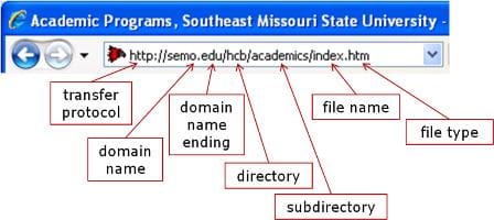 Internet Basics: Detailed Notes - Computer Application: Class 10 PDF ...