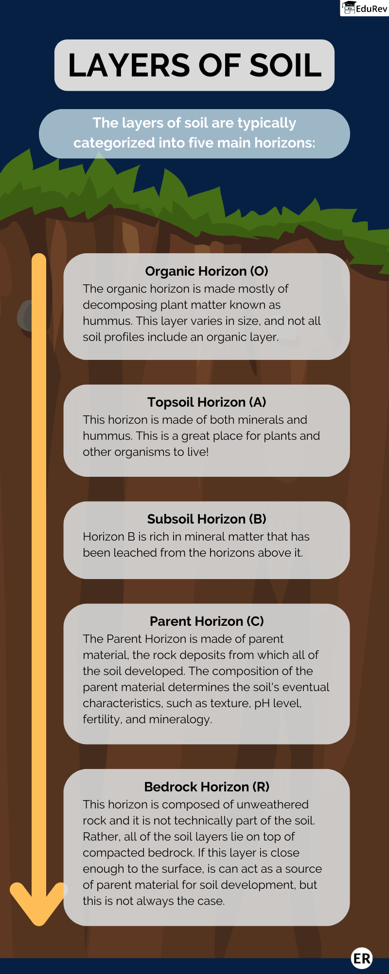 Learn at a Glance: Layers of Soil - Science Class 5 PDF Download