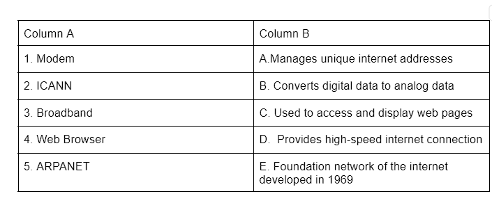 Worksheet: Internet Basics - Computer Application: Class 10 PDF Download