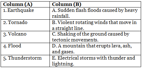 Natural Calamities - 2 Class 5 Worksheet Science