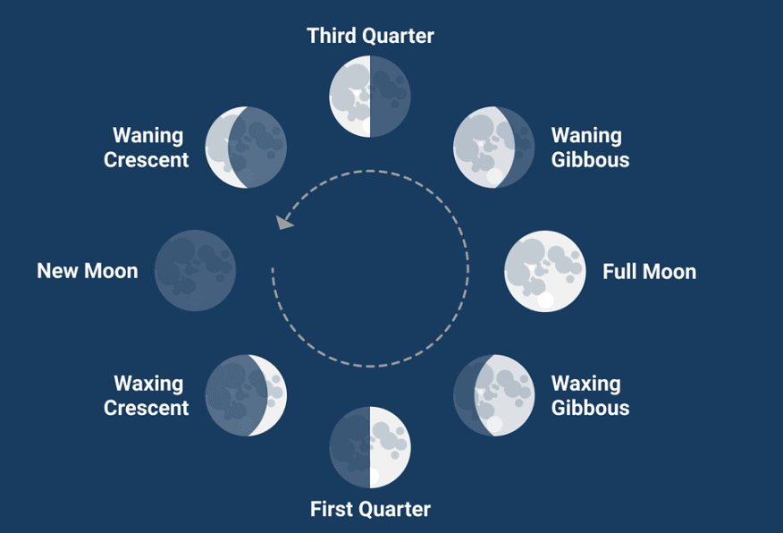 Moon and its Phases - Physical Science for High School - Grade 9 PDF ...