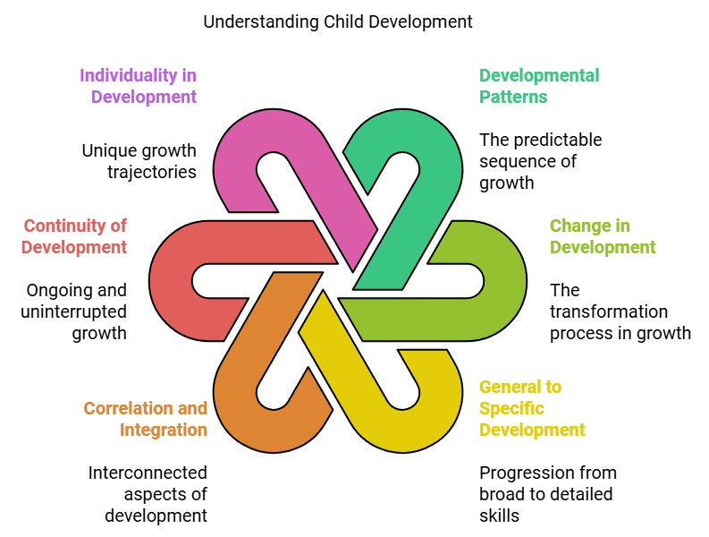 Notes: Principles of Development - Child Development and Pedagogy for ...