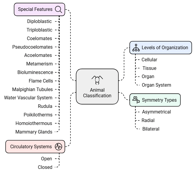 Important Diagrams: Animal Kingdom - Biology Class 11 - NEET PDF Download