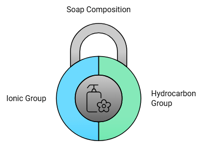 Cleansing Action of Soaps and Detergents - Science Class 10 PDF Download