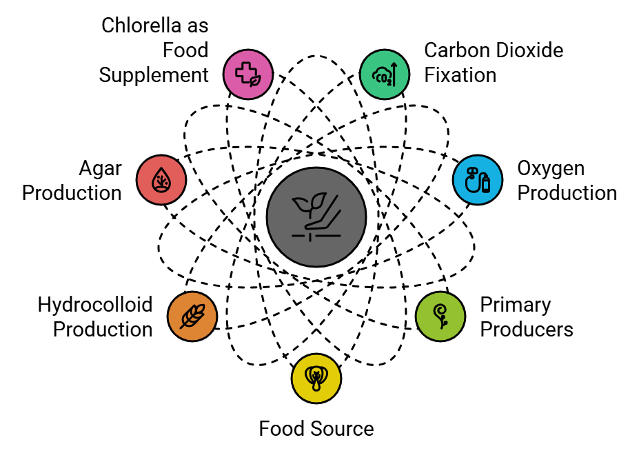 Algae and Its Classification - Biology Class 11 - NEET PDF Download