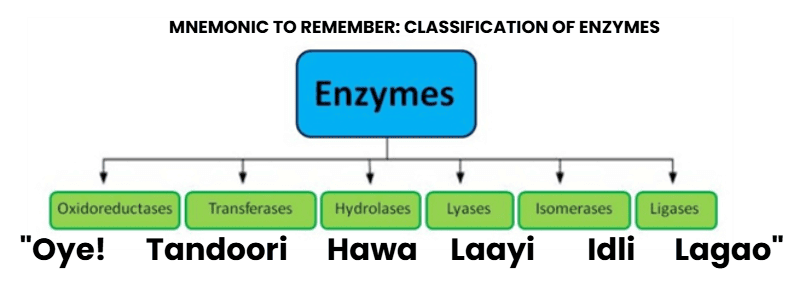Mnemonics: Biomolecules - Biology Class 11 - NEET PDF Download