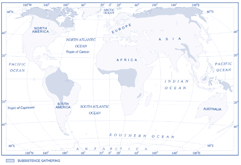Primary Activities Hunting And Gathering Class 12 Geography
