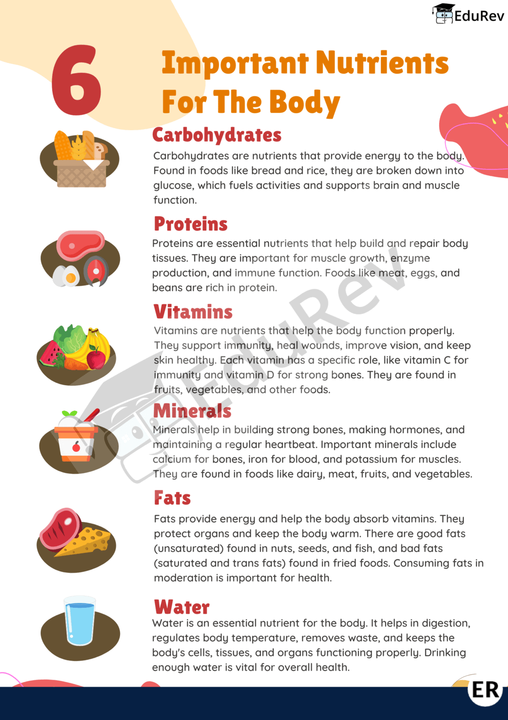 Learn at a Glance: Important Nutrients for the Body - Science Class 5 ...