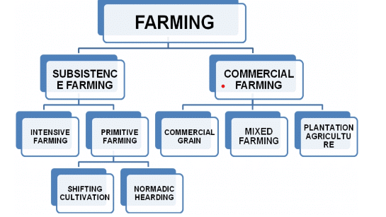 Class 8 Geography Chapter 4 Notes - Agriculture Free PDF